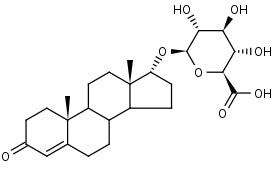 Epitestosterone Glucuronide | CAS Number: 16996-33-1 – BDGSynthesis